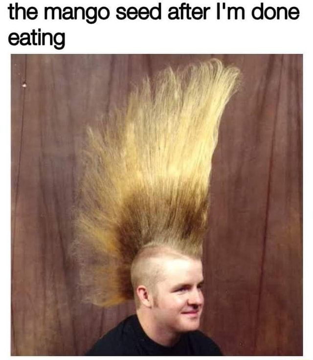 The mango seed after I'm done eating - iFunny