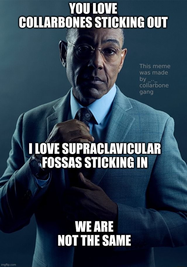 YOU LOVE COLLARBONES STICKING OUT This meme was made by collarbone gang ...