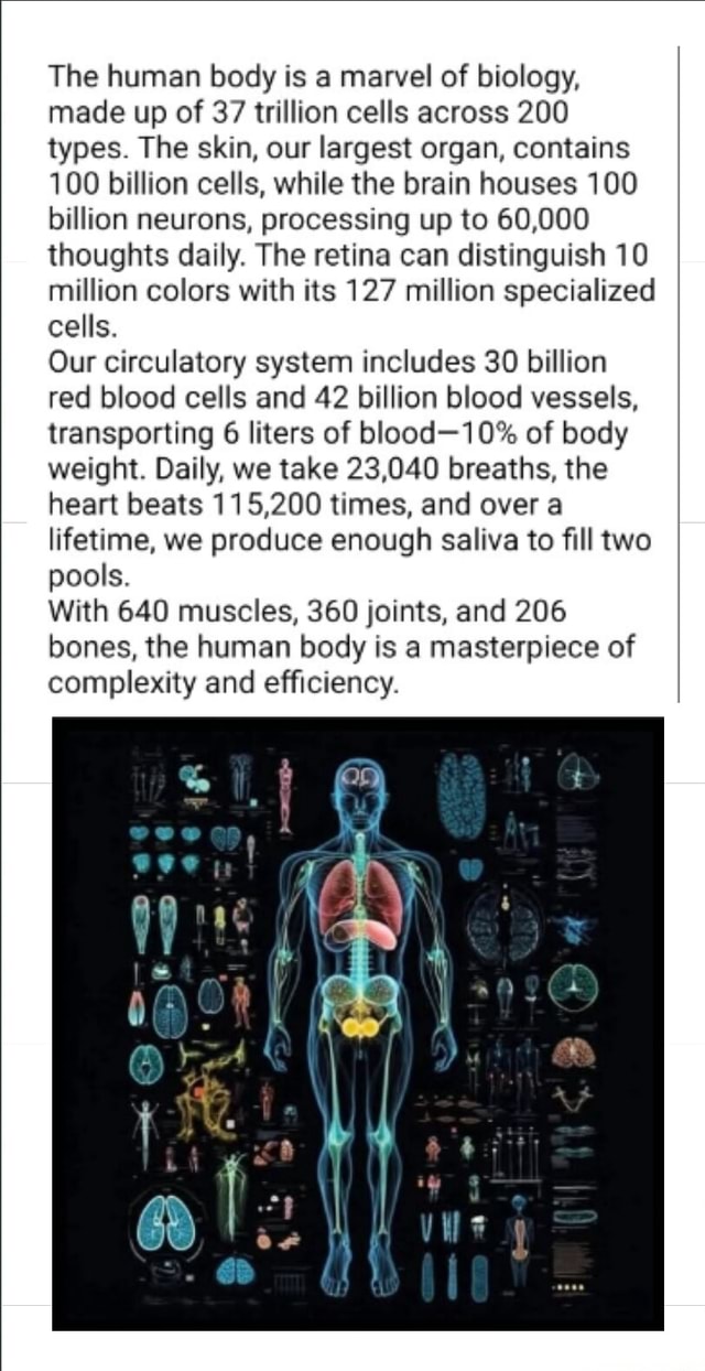The human body is a marvel of biology, made up of 37 trillion cells ...