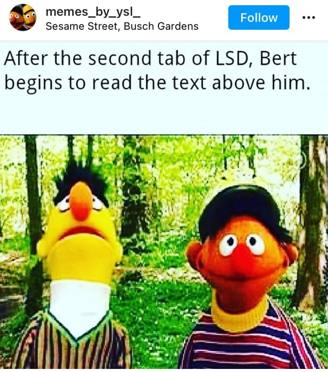 LA memes_by_ysl_ Sesame Street, Busch Gardens After the second tab of ...
