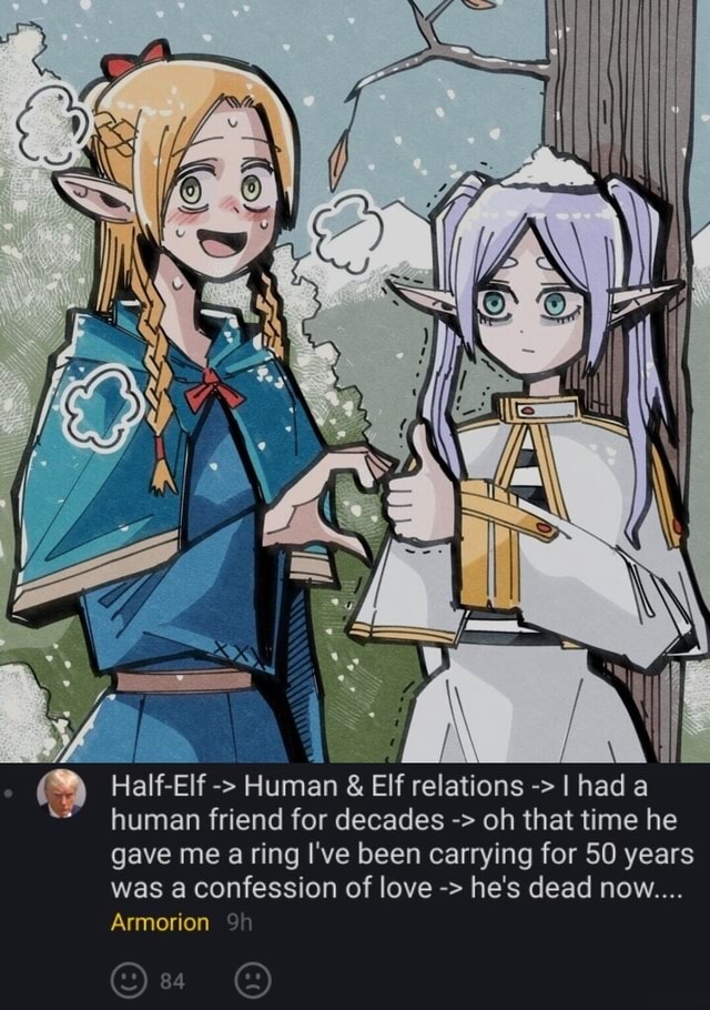 Half-Elf Human & Elf relations I had a human friend for decades oh that ...