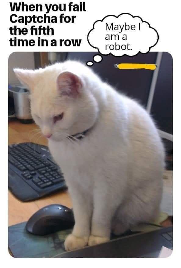 When you fail Captcha for the fifth time row - America’s best pics and ... When you fail Captcha for the fifth time row - America’s best pics and ...