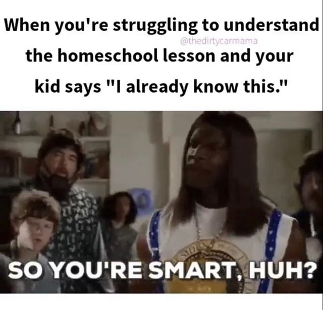 When you're struggling to understand the homeschool lesson and your kid ...