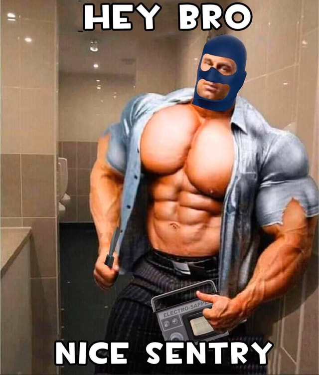 HEY BRO NICE SENTRY - iFunny