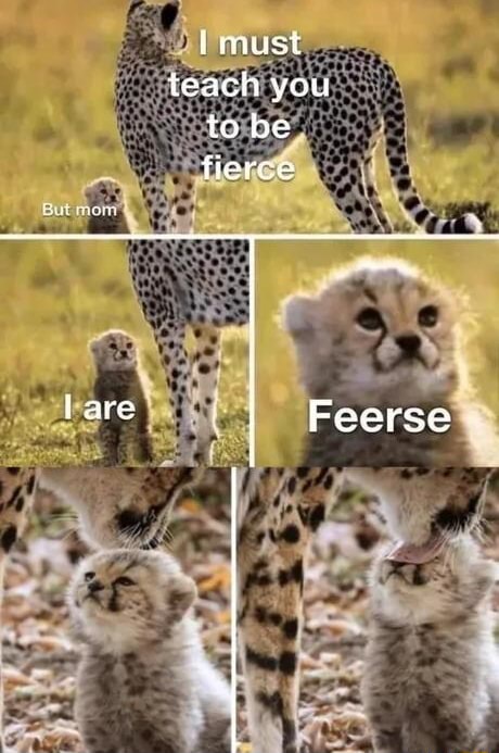 {must teach you to be fierce lare Feerse - iFunny