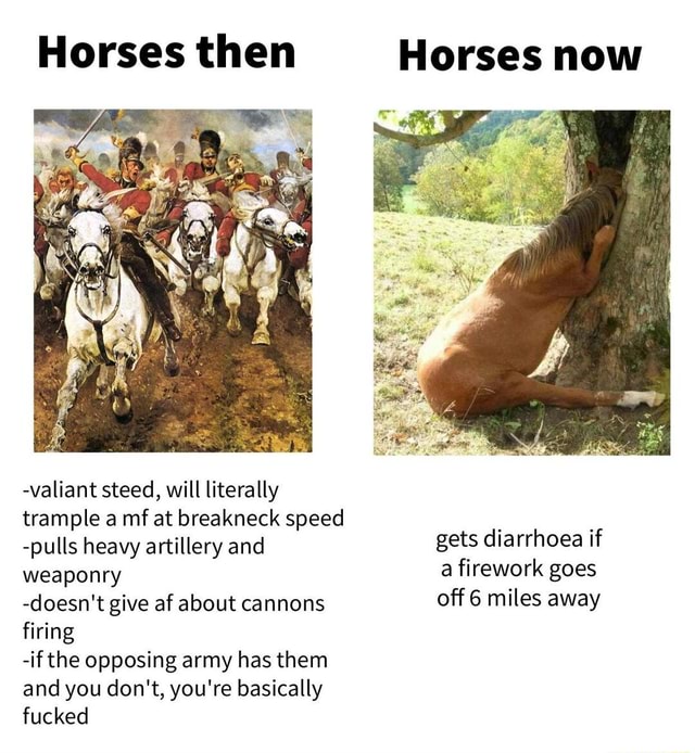 Horses then Horses now -valiant steed, will literally trample a mf at ...