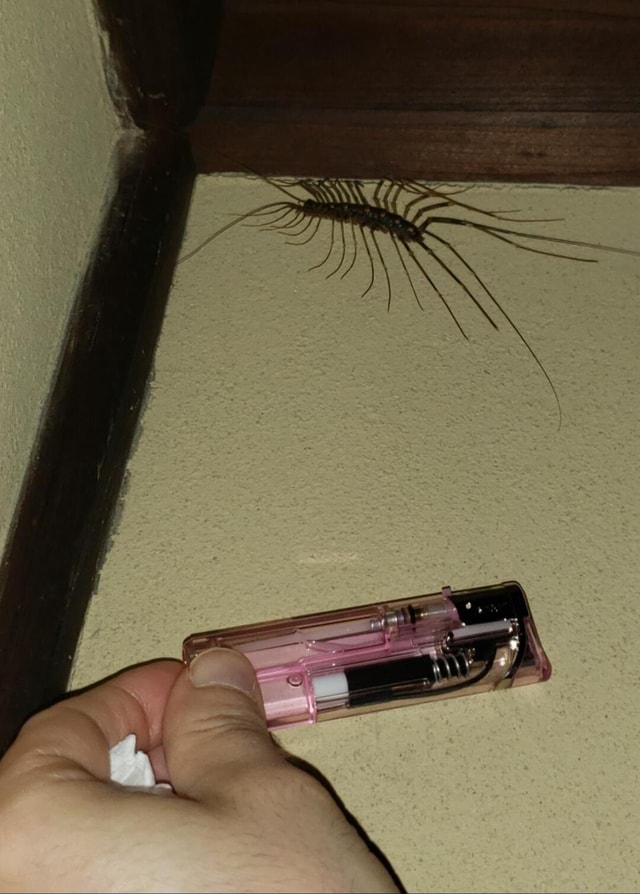 Gejigeji aka alien invader - iFunny