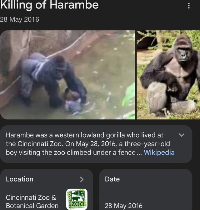 Killing of Harambe 28 May 2016 Harambe was a western lowland gorilla ...