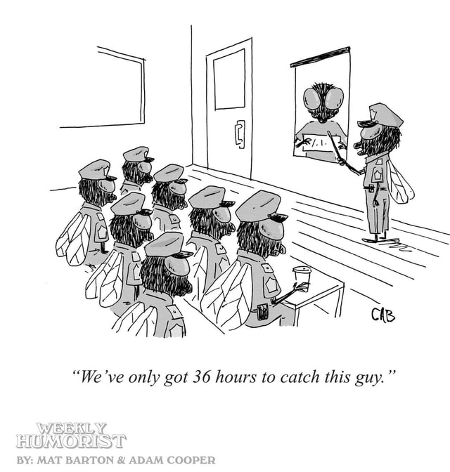 Swat Team Todays cartoon by MatBarton and CooperFactory ...