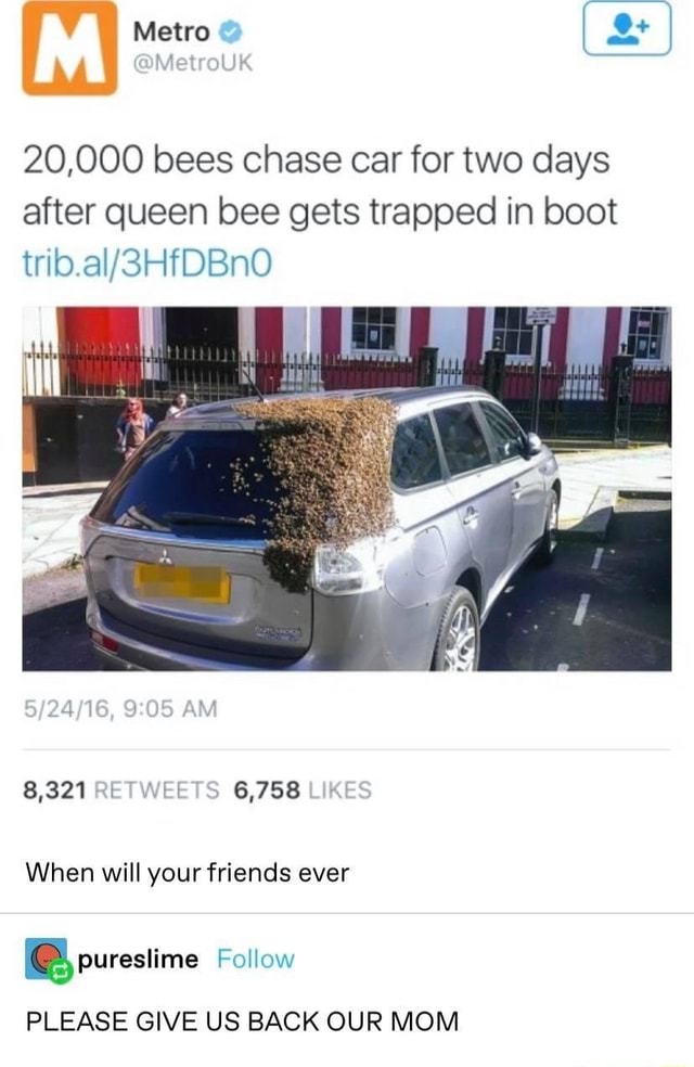 Metro 20,000 bees chase car for two days after queen bee gets trapped ...