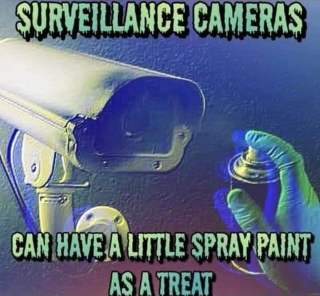 SURVEILLANCE CAMERAS CAN LITTLE sPRAY PAINT - iFunny