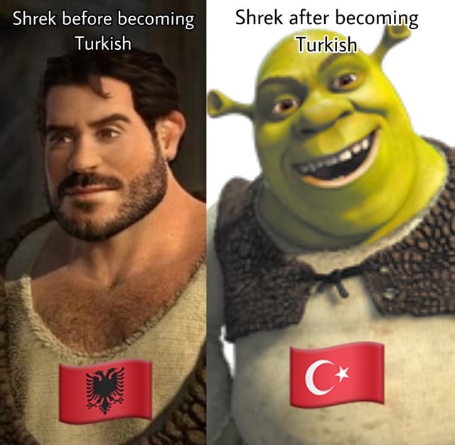 Shrek before becoming Shrek after becoming ww Turkish Turkish - iFunny