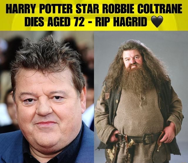 HARRY POTTER STAR ROBBIE COLTRANE DIES AGED 72 - RIP HAGRID - iFunny