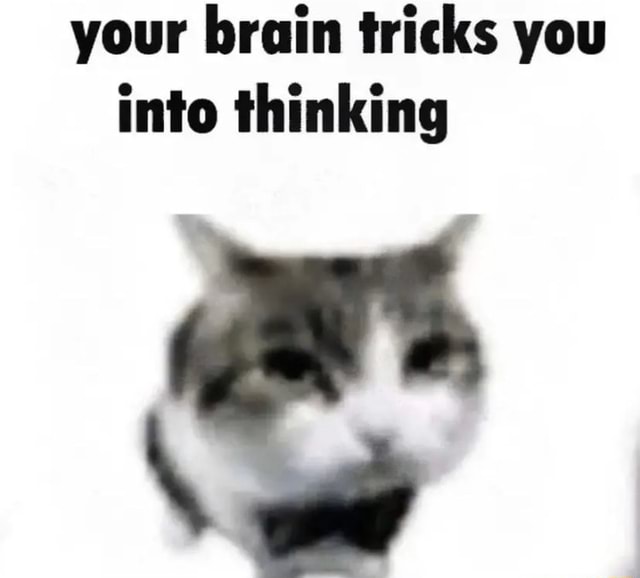Your Brain Tricks You Into Thinking IFunny