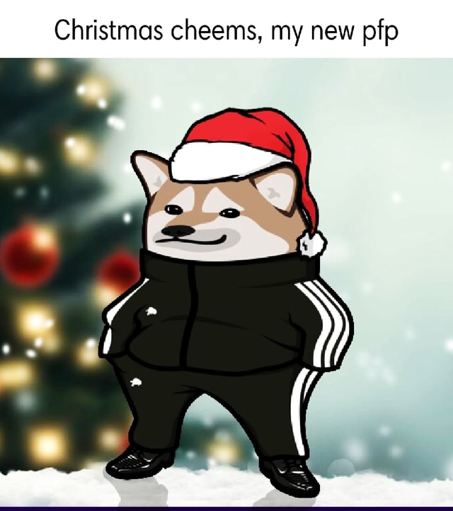 Christmas cheems, my new pfp - iFunny