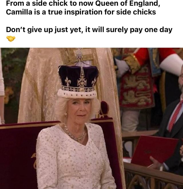 From a side chick to now Queen of England, Camilla is a true ...