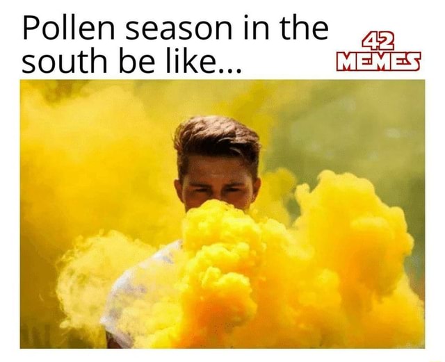 Pollen season in the south be like... MEMES - iFunny