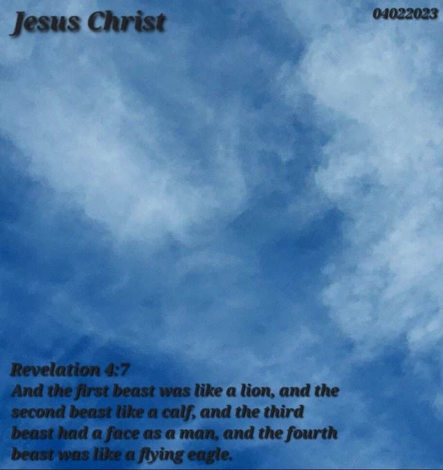 Revelation And the first beast was like a lion, and the second beast ...