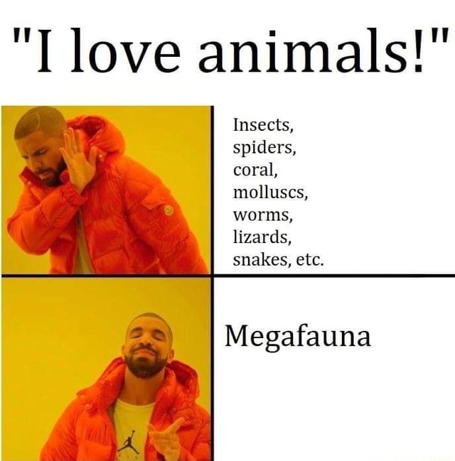 "T love animals!" Insects, spiders, coral, molluscs, worms, lizards ...