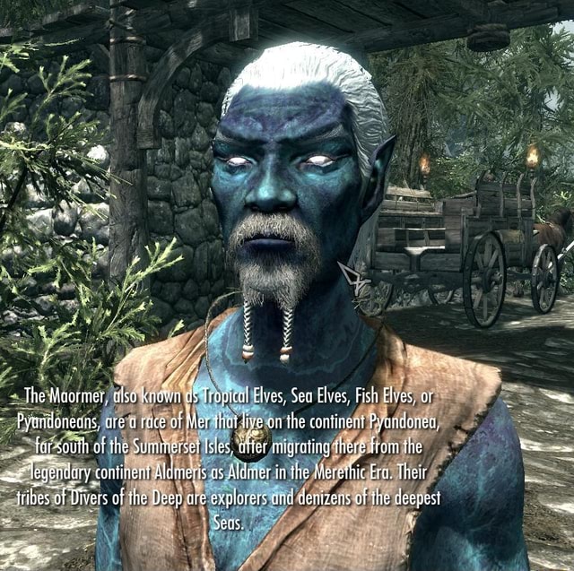 4 The Maormer, afso knowa Tropical Elves, Sea Elves, Fish Elves, or ...