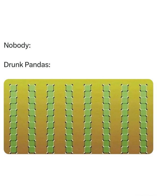 Trippy Bamboo memes explore funny illusion photography - Nobody: Drunk Pandas: - America’s best ...