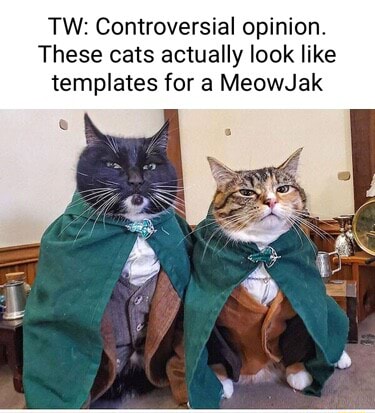 TH: Controversial opinion. These cats actually look like templates for ...