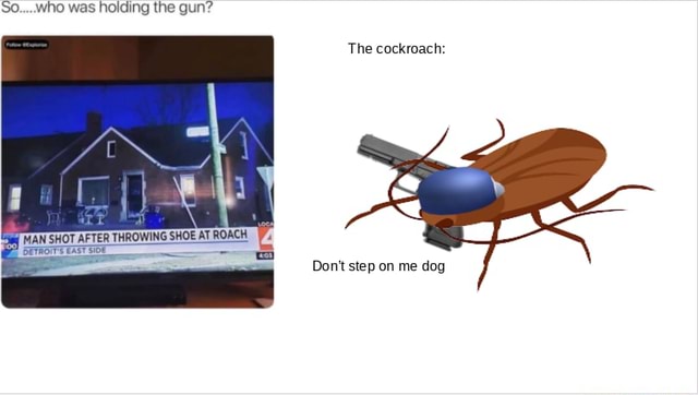 GANGSTER ROACH - SO.....who was holding the gun? The cockroach: gall ...