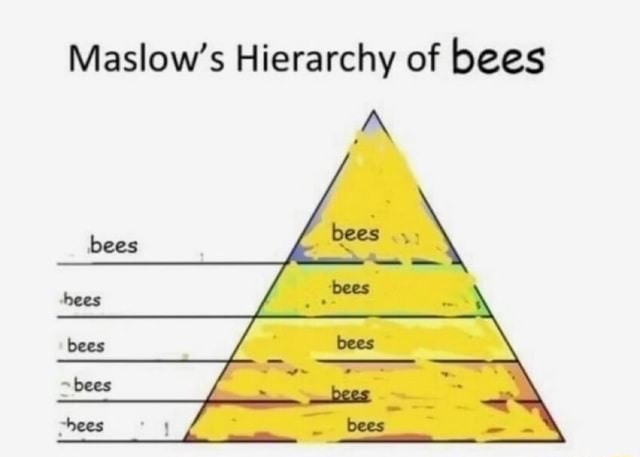 Maslow's Hierarchy of bees loges bees bees sbees - iFunny Brazil