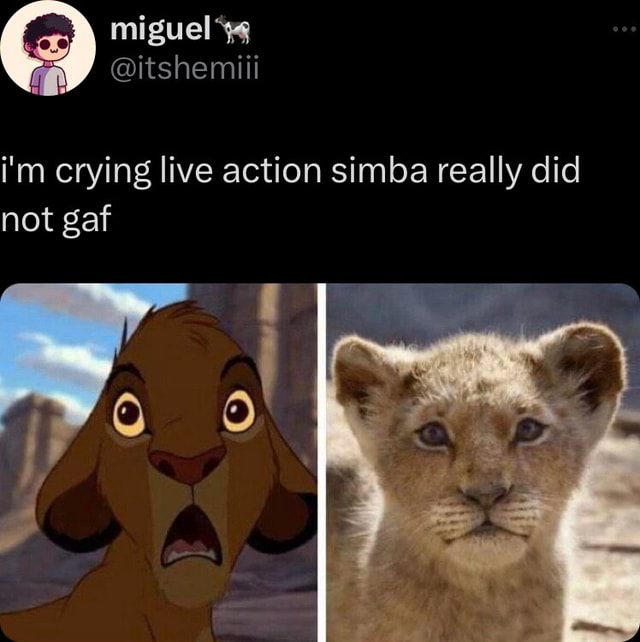 Miguel i'm crying live action simba really did not gaf - iFunny