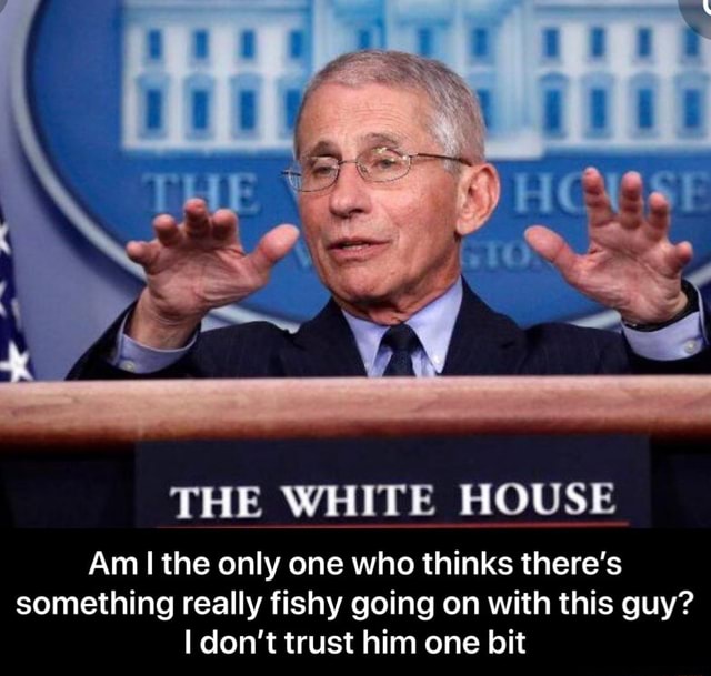 THE WHITE HOUSE Aml the only one who thinks there's something really ...
