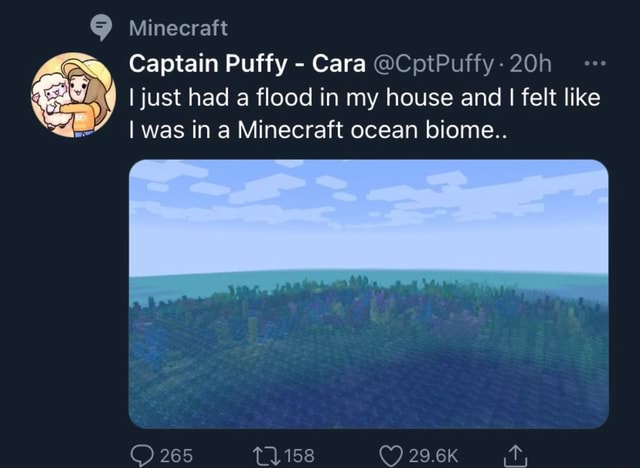 Minecraft Captain Puffy - Cara @CptPuffy. I just had a flood in my ...