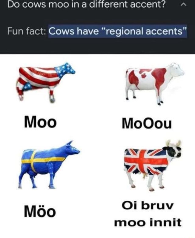 Do cows moo ina different accent? Fun fact: Cows have "regional accents ...