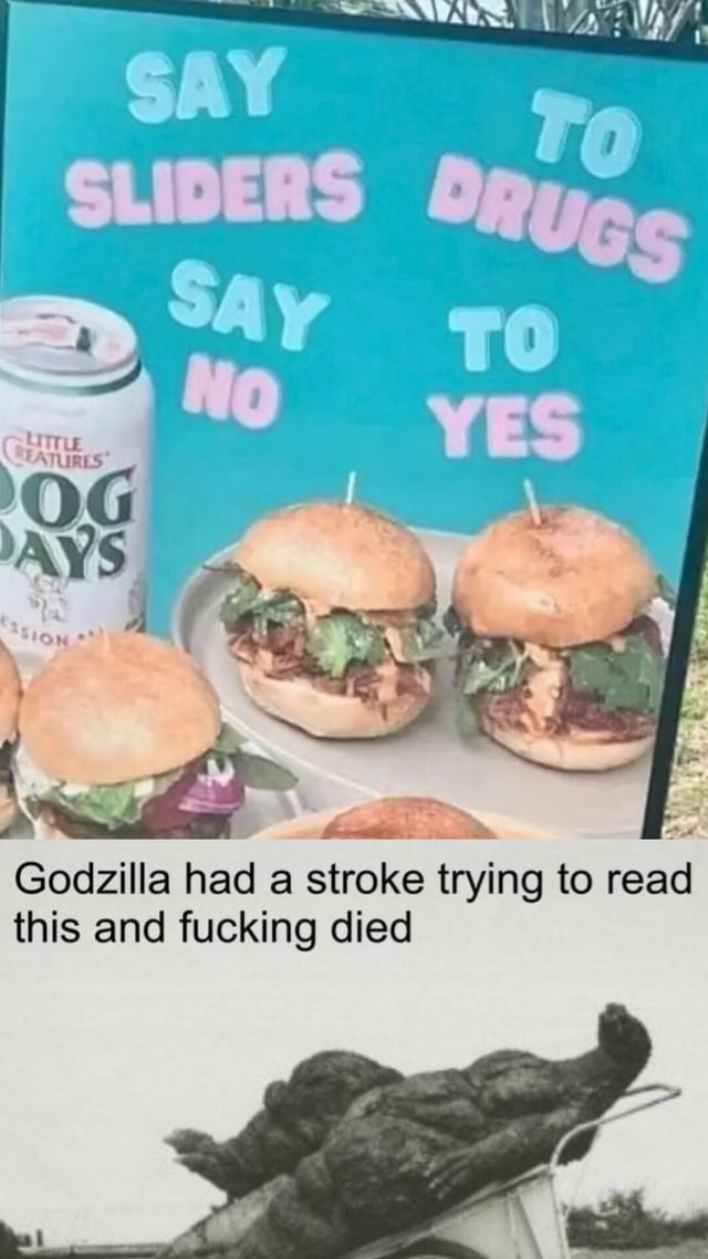 Vast Godzilla had a stroke trying to read this and fucking died - iFunny