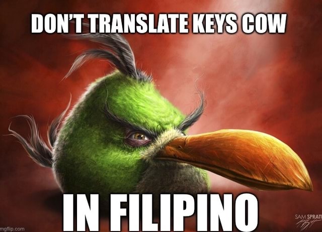 DON'T TRANSLATE KEYS COW IN FILIPING - iFunny