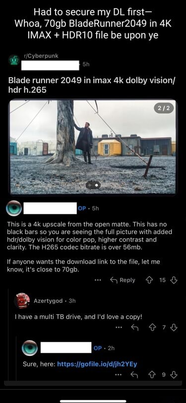 Had to secure my DL first- Whoa, 70gb BladeRunner2049 in MAX + HDR10 ...