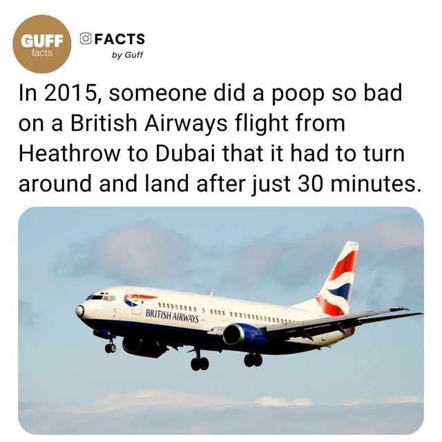 FACTS by Guff In 2015, someone did a poop so bad on a British Airways ...