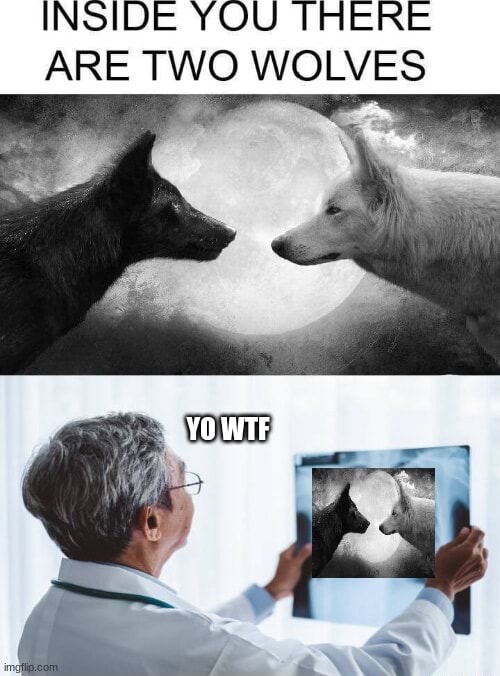 INSIDE YOU THERE ARE TWO WOLVES - iFunny