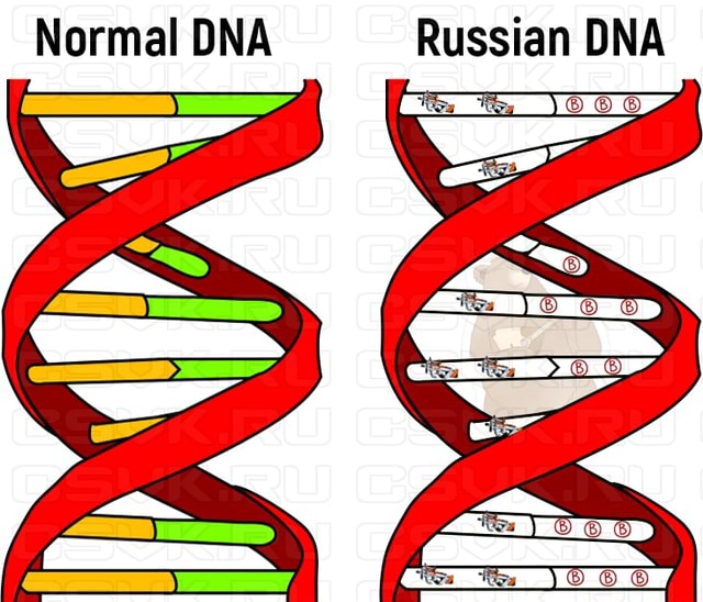 #justcsgothings - Normal DNA Russian DNA SS - iFunny