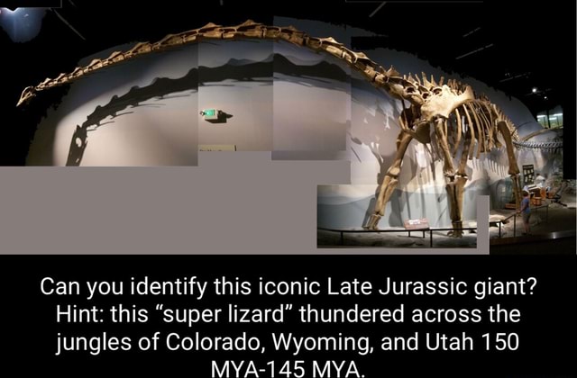 Can you identify this iconic Late Jurassic giant? Hint: this "super ...