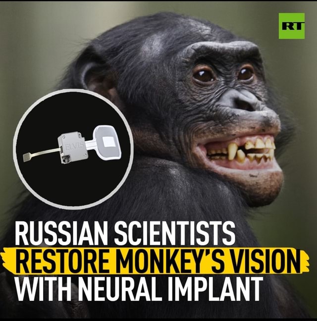 SS RUSSIAN SCIENTISTS RESTORE MONKEY'S VISIO WITH NEURAL IMPLANT - iFunny