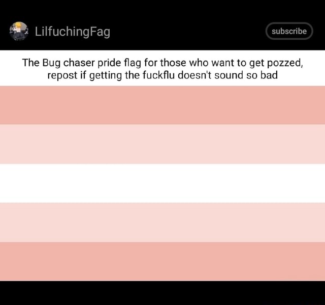 LilfuchingFag subscribe The Bug chaser pride flag for those who want to ...