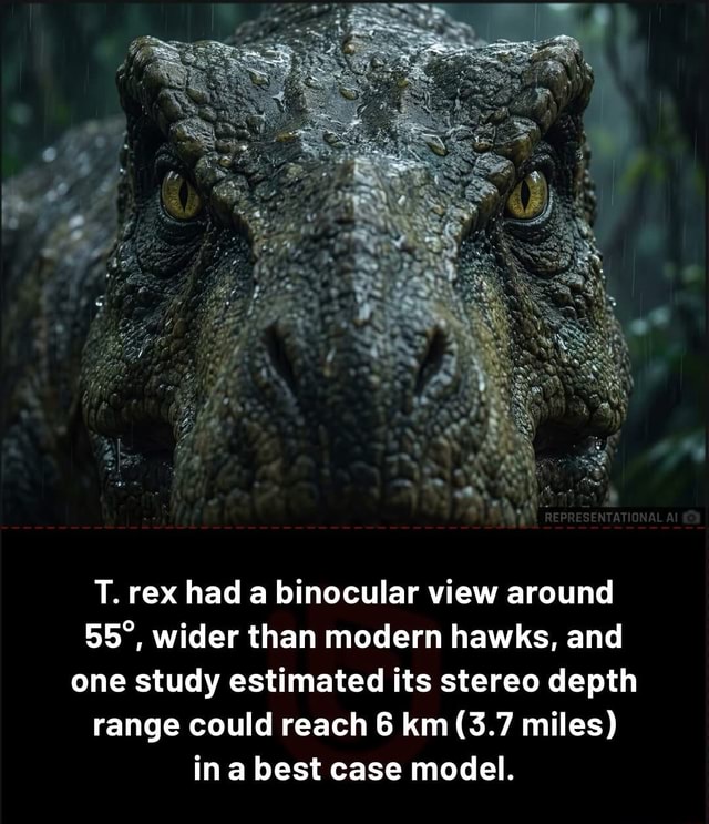 T. rex had a binocular view around wider than modern hawks, and one ...