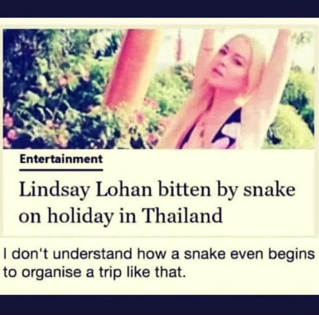 Entertainment Lindsay Lohan bitten by snake on holiday in Thailand I ...