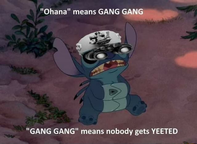 "Ohana" means GANG AS "GANG GANG" means nobody gets YEETED - iFunny