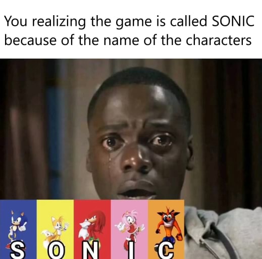 You realizing the game is called SONIC because of the name of the ...