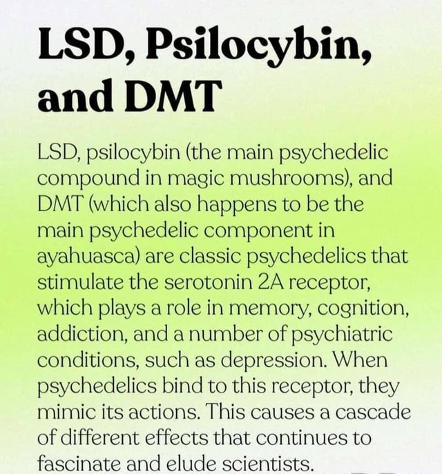 LSD, Psilocybin, and DMT LSD, psilocybin (the main psychedelic compound ...