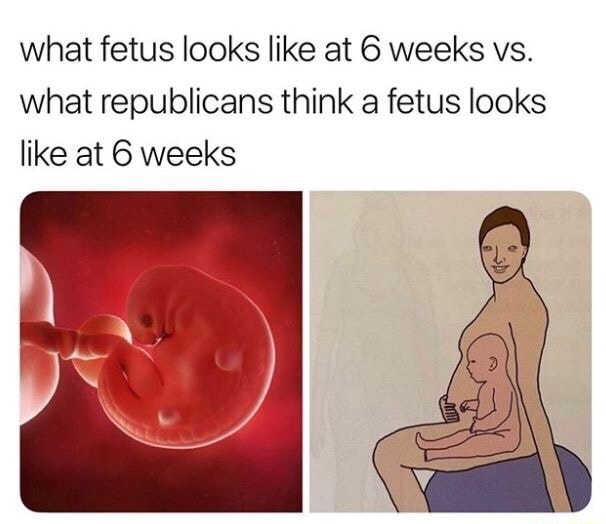 what-fetus-looks-like-at-6-weeks-vs-what-republicans-think-a-fetus