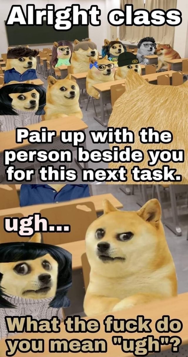 Alright class Pair up with the person beside you for this next task. mean - iFunny