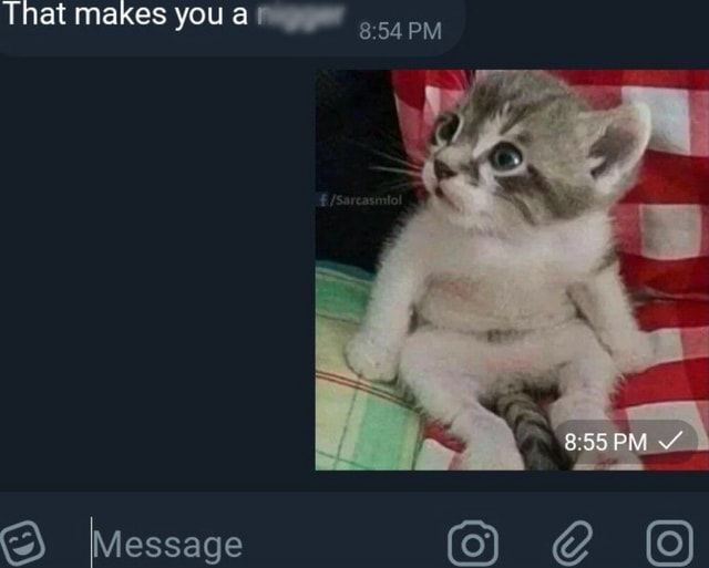 That makes you a 9" PM PM Message - iFunny