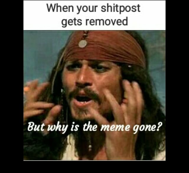 When your shitpost gets removed But why is the meme gone? - iFunny